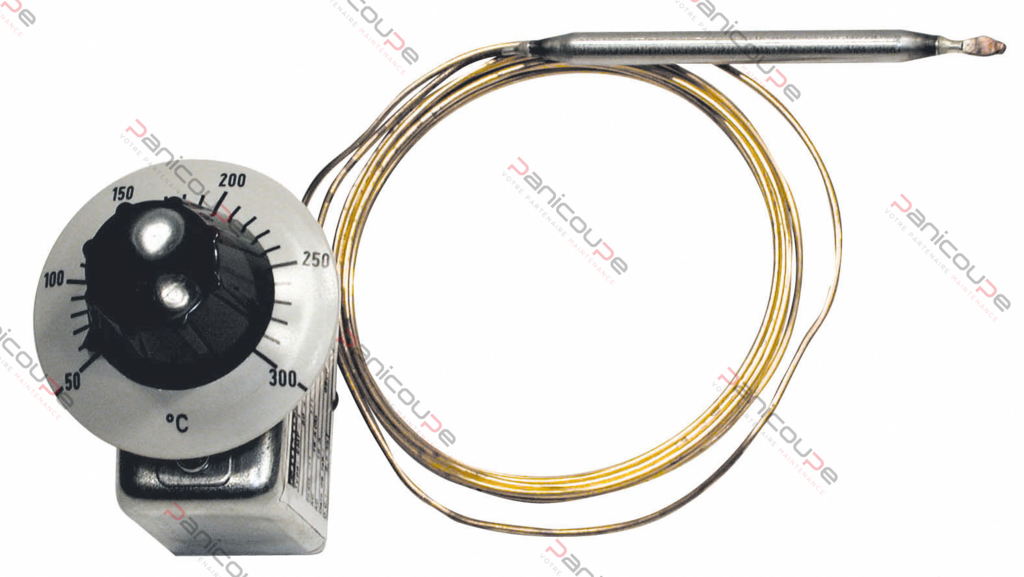 THERMOSTAT JUMO EMF1-W1 UNIPOLAIRE 16 A | Panicoupe