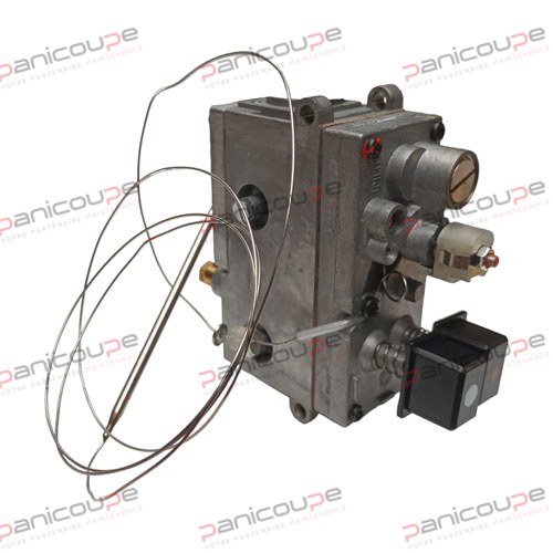 VALVE MINISIT FRIT 70/210°C | Panicoupe